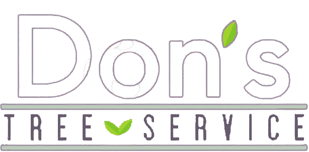 Tree Trimming - Tree Care | Dons Tree Service